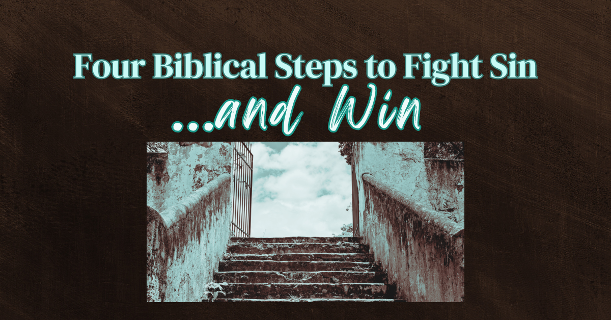 Four Biblical Steps to Fight Sin …and Win! – More Than This Mess