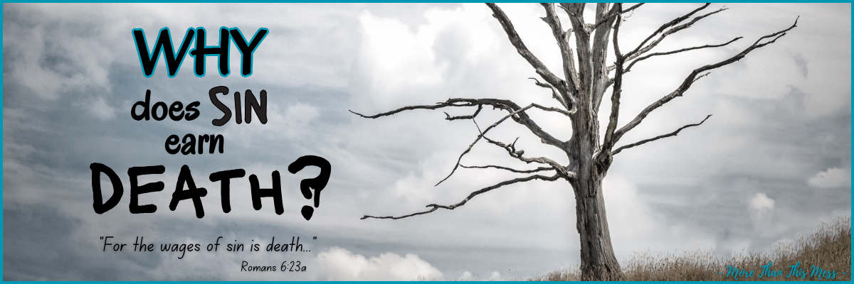 Why Does Sin Earn Death? – More Than This Mess