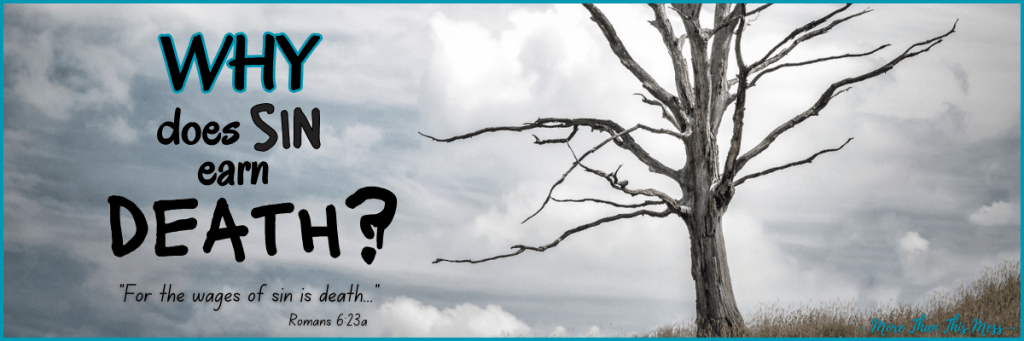Why Does Sin Earn Death? – More Than This Mess