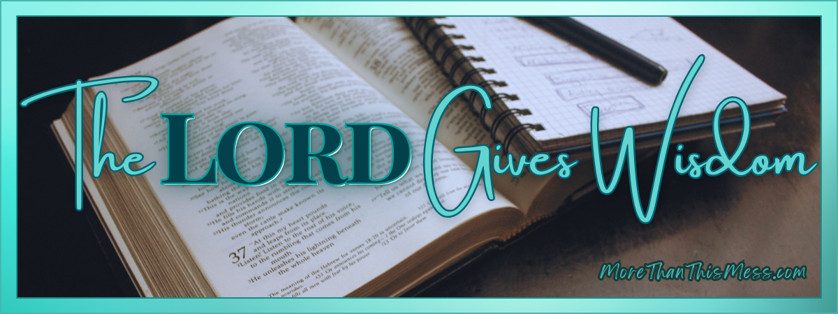 The LORD Gives Wisdom – More Than This Mess
