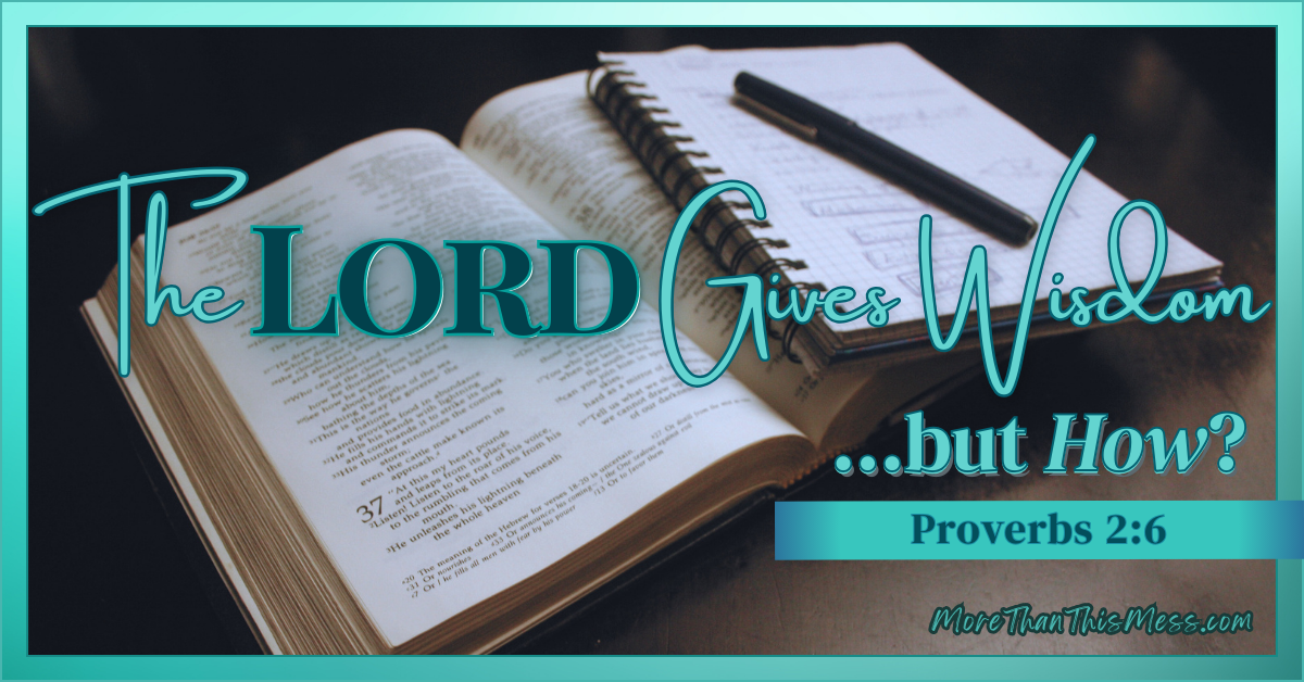 God Gives Wisdom – But How? (Proverbs 2:6) – More Than This Mess